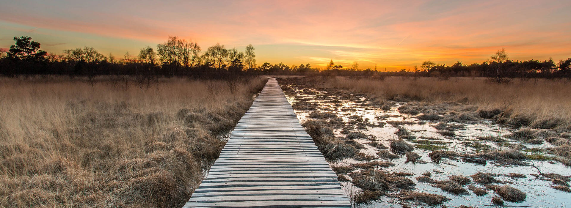 Natuur en Milieufederatie Limburg - Samen voor een mooi en duurzaam Limburg